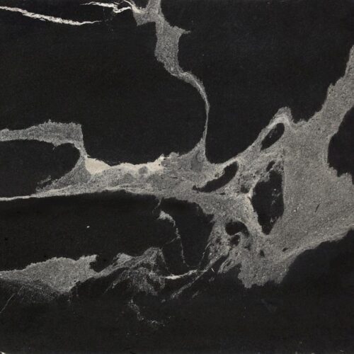 Black Python Leather