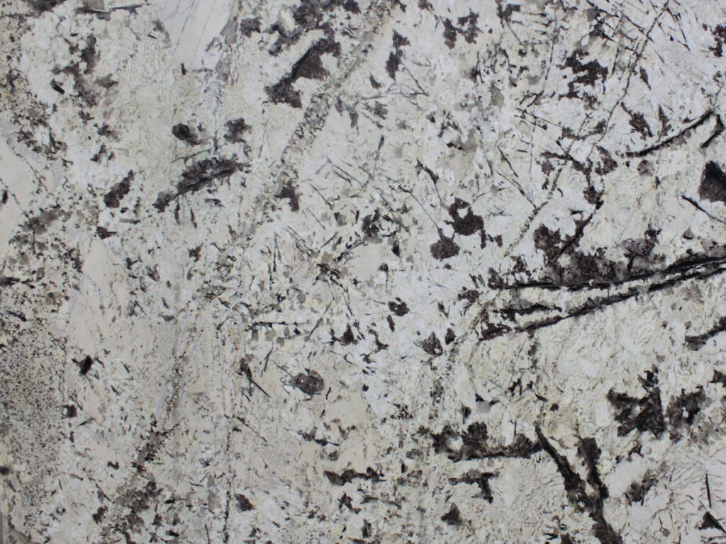 Delicatus White