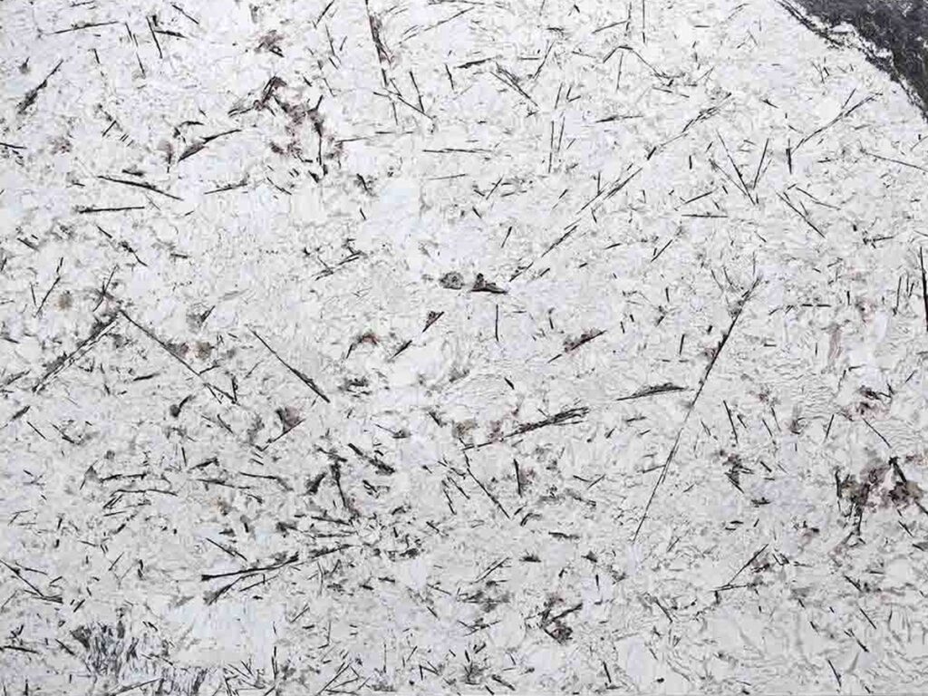 White Splash